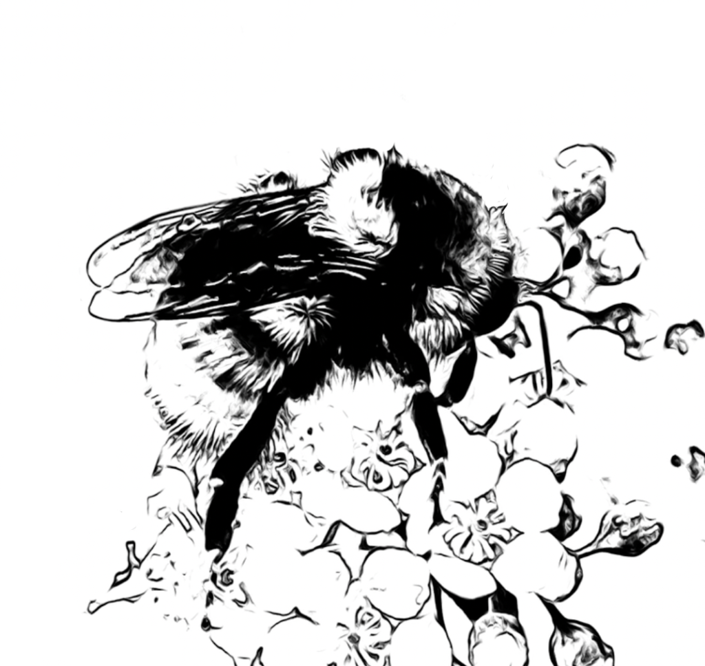 Feline Cystocentesis Model – McLean Gunderson Model Laboratory – UW–Madison