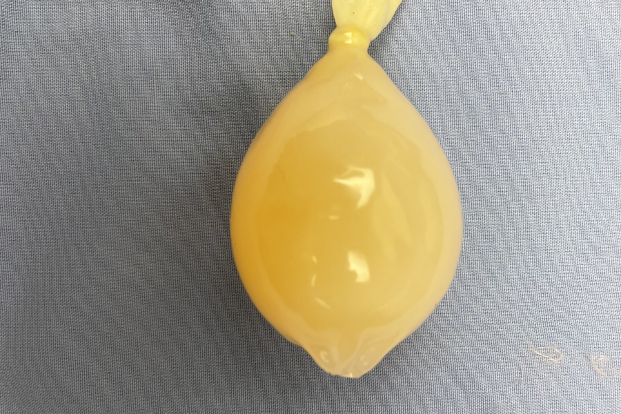 Feline Cystocentesis Model – McLean Gunderson Model Laboratory – UW–Madison