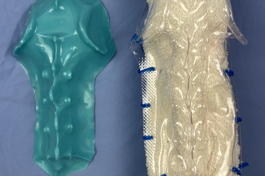 Epaxial Intramuscular Injection Model – McLean Gunderson Model ...