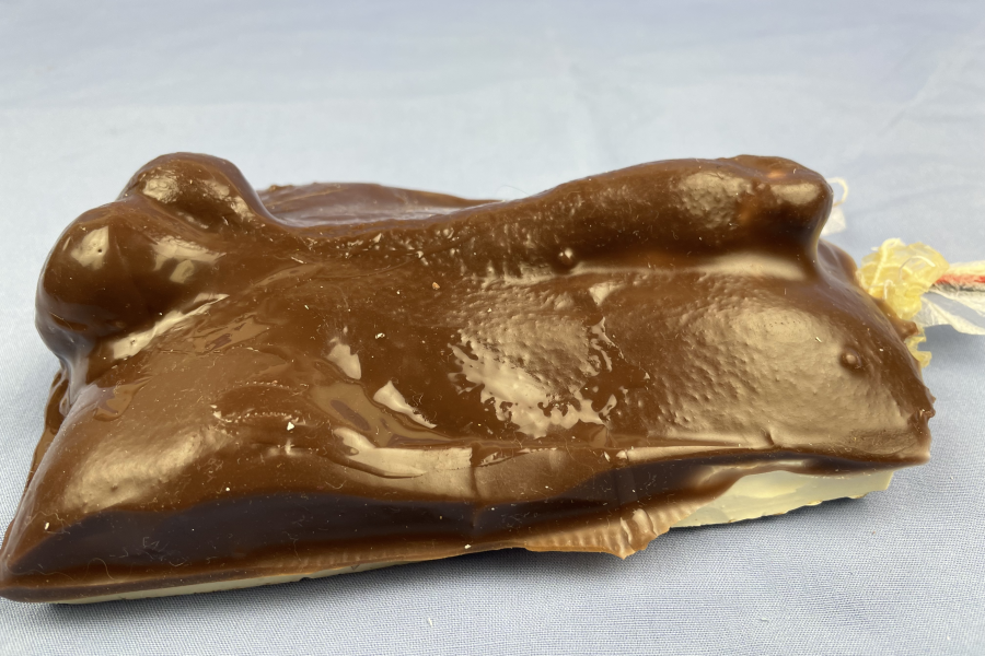 Canine Neuter Model – McLean Gunderson Model Laboratory – UW–Madison