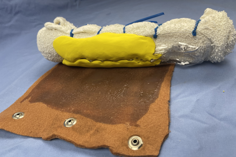 Epaxial Intramuscular Injection Model – McLean Gunderson Model ...
