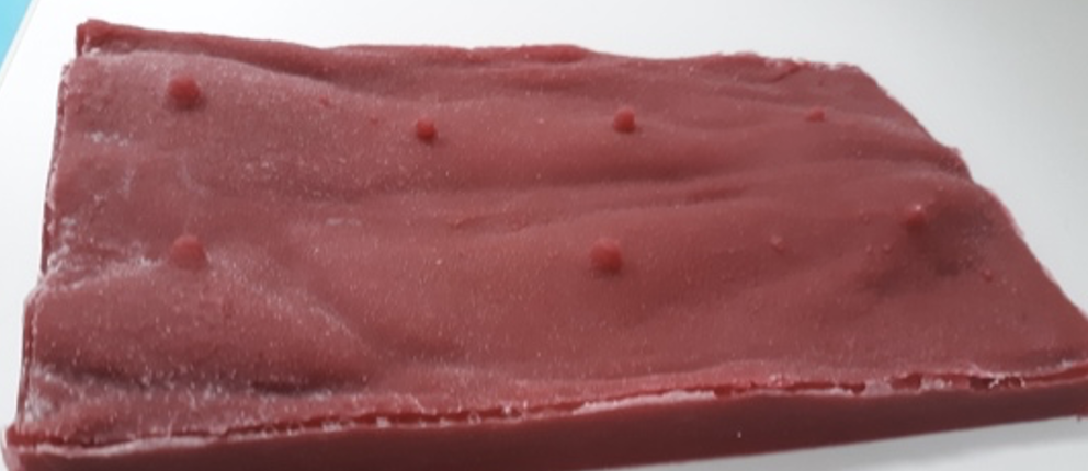 Badger Spay Model – McLean Gunderson Model Laboratory – UW–Madison
